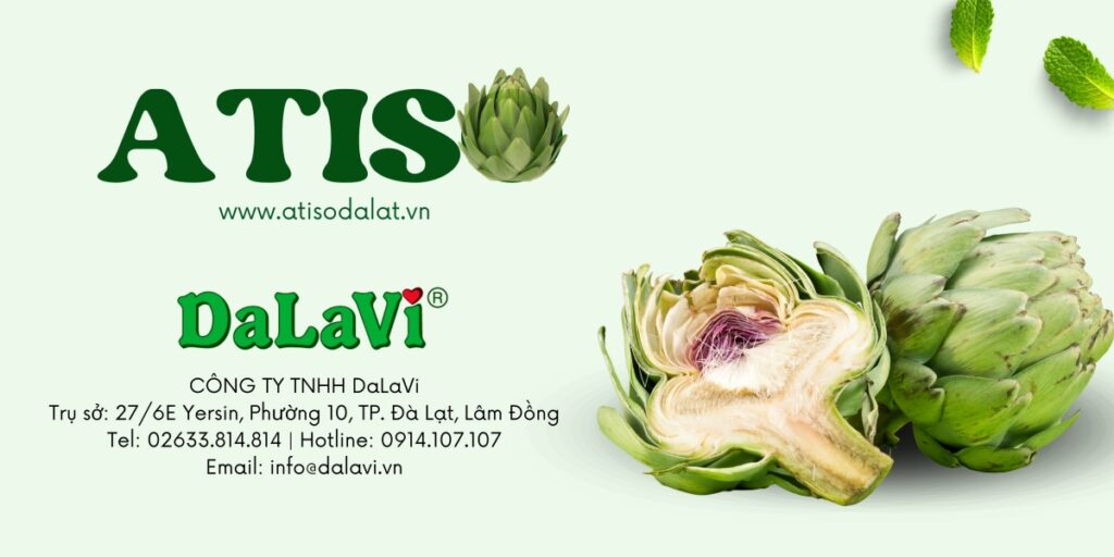 Hoa Atiso và mùa Atiso Đà Lạt, mua Atiso tươi ở đâu?